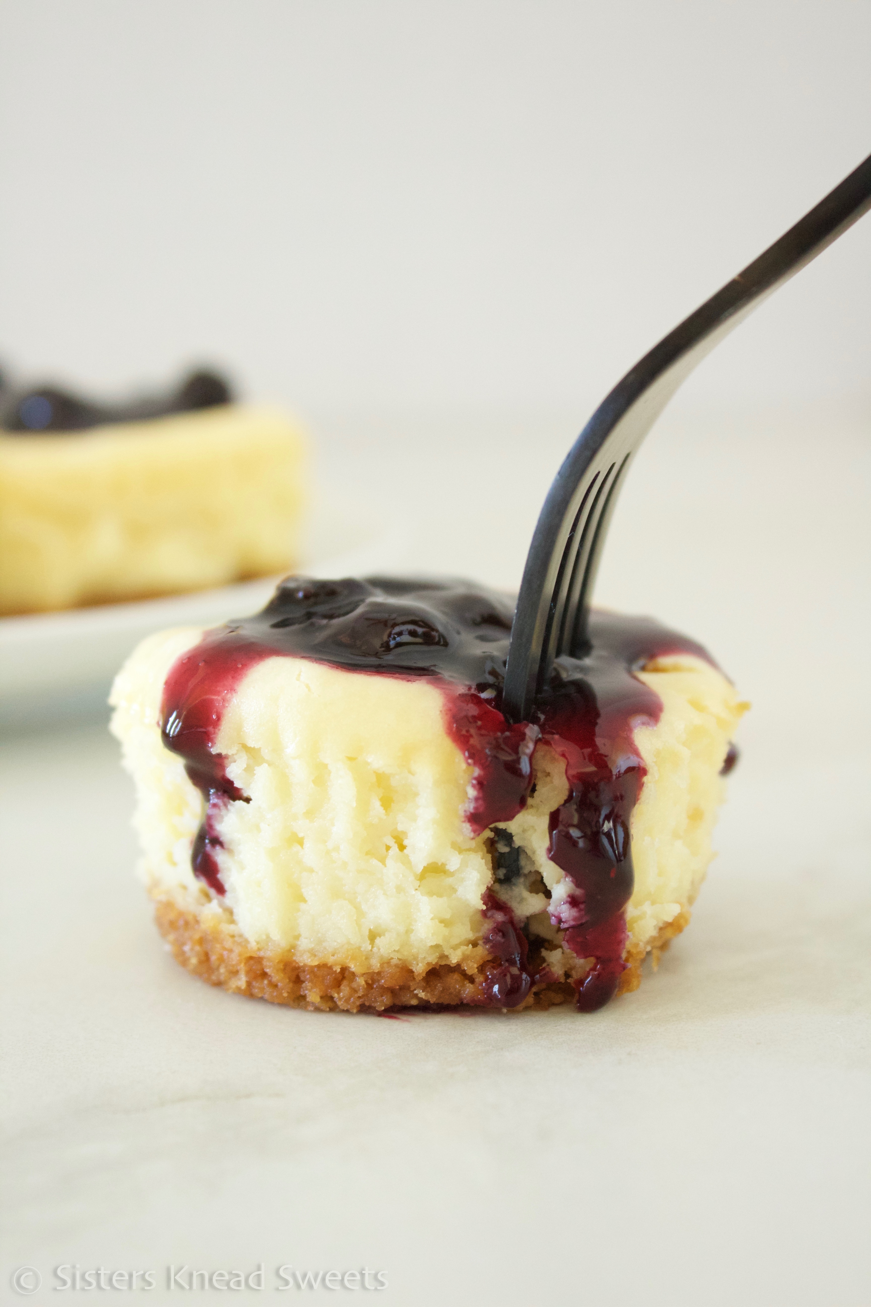 Plain Mini Cheesecake Fork – Sisters Knead Sweets